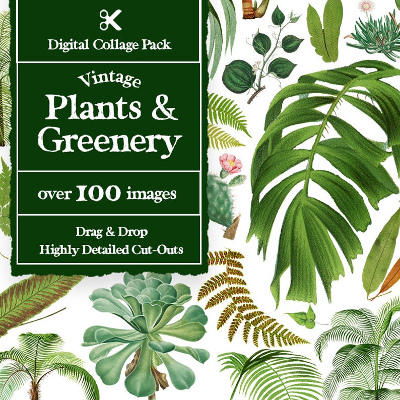 Vintage Plants Collage Creator 100+ Images || Vintage Plants Digital ...