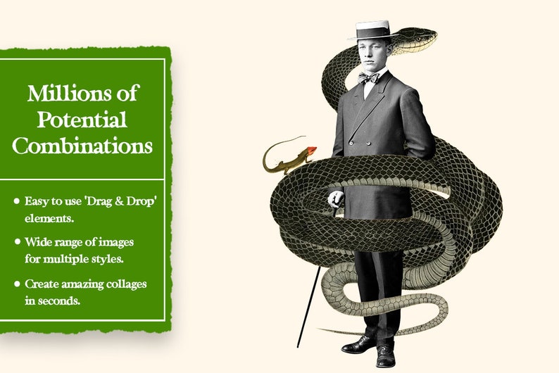 Vintage Snakes and Reptiles Collage Creator 50+ Images || Vintage ...