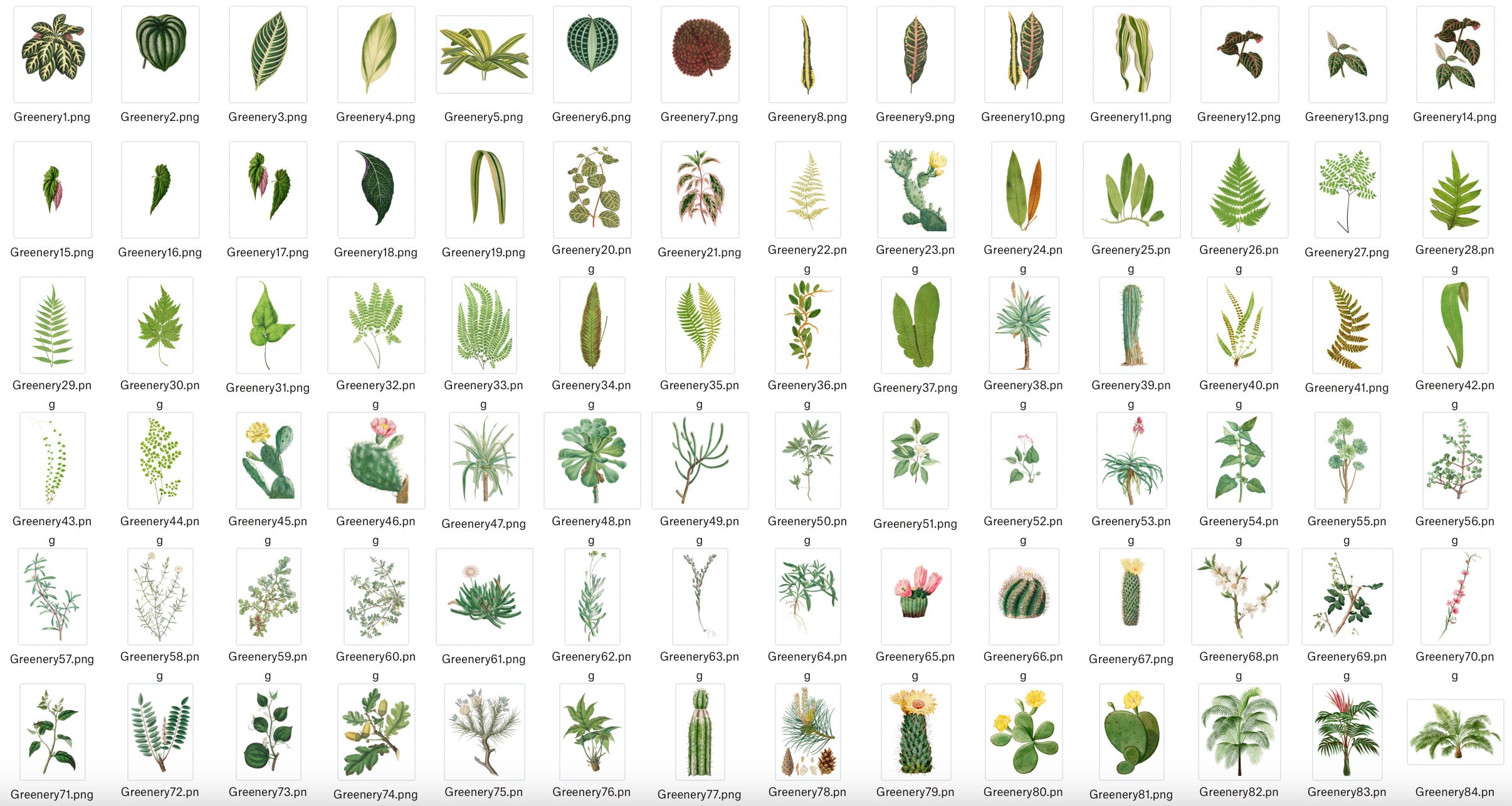 Vintage Plants Collage Creator 100+ Images || Vintage Plants Digital ...