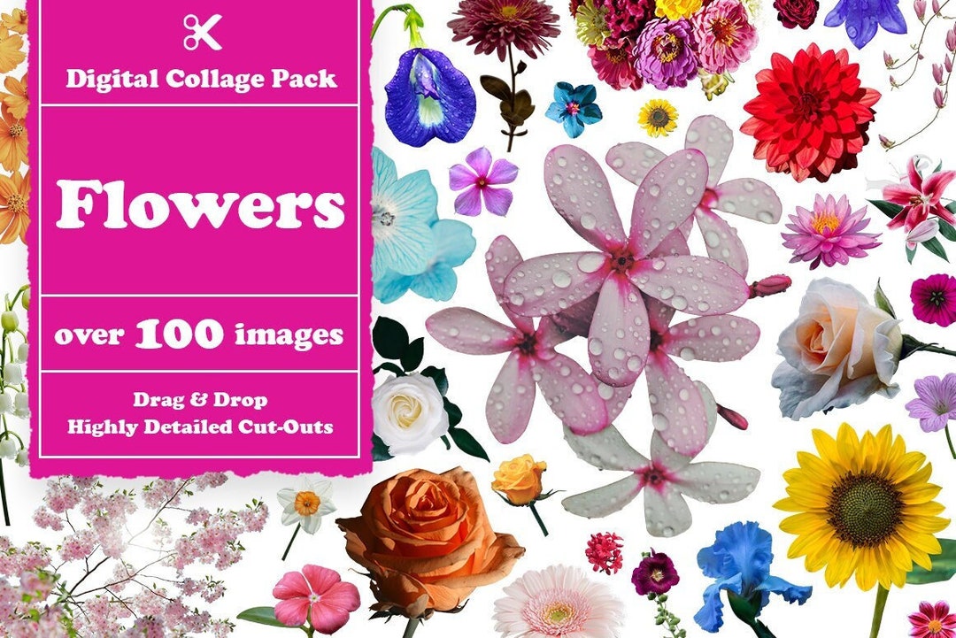 Flowers Collage Creator 100+ Images || Flowers Digital Collage Maker ...