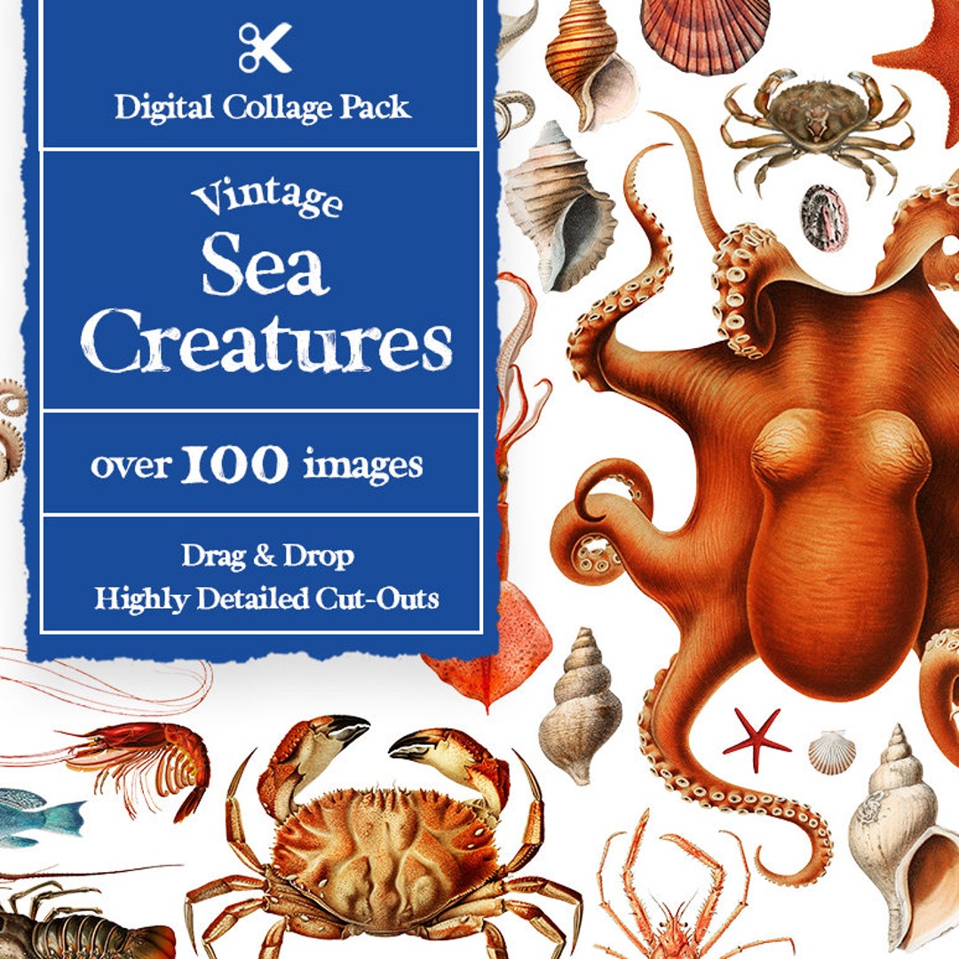 Vintage Sea Creatures Collage Creator 100+ Images || Vintage Sea ...