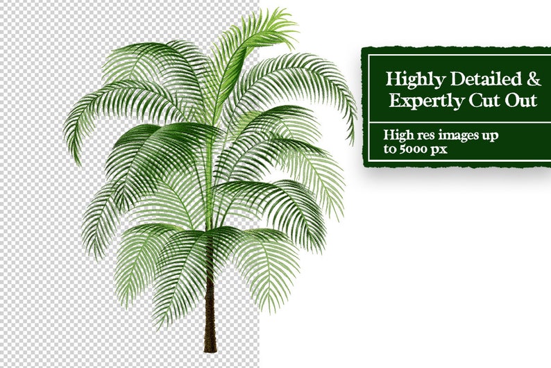 Vintage Plants Collage Creator 100+ Images || Vintage Plants Digital ...
