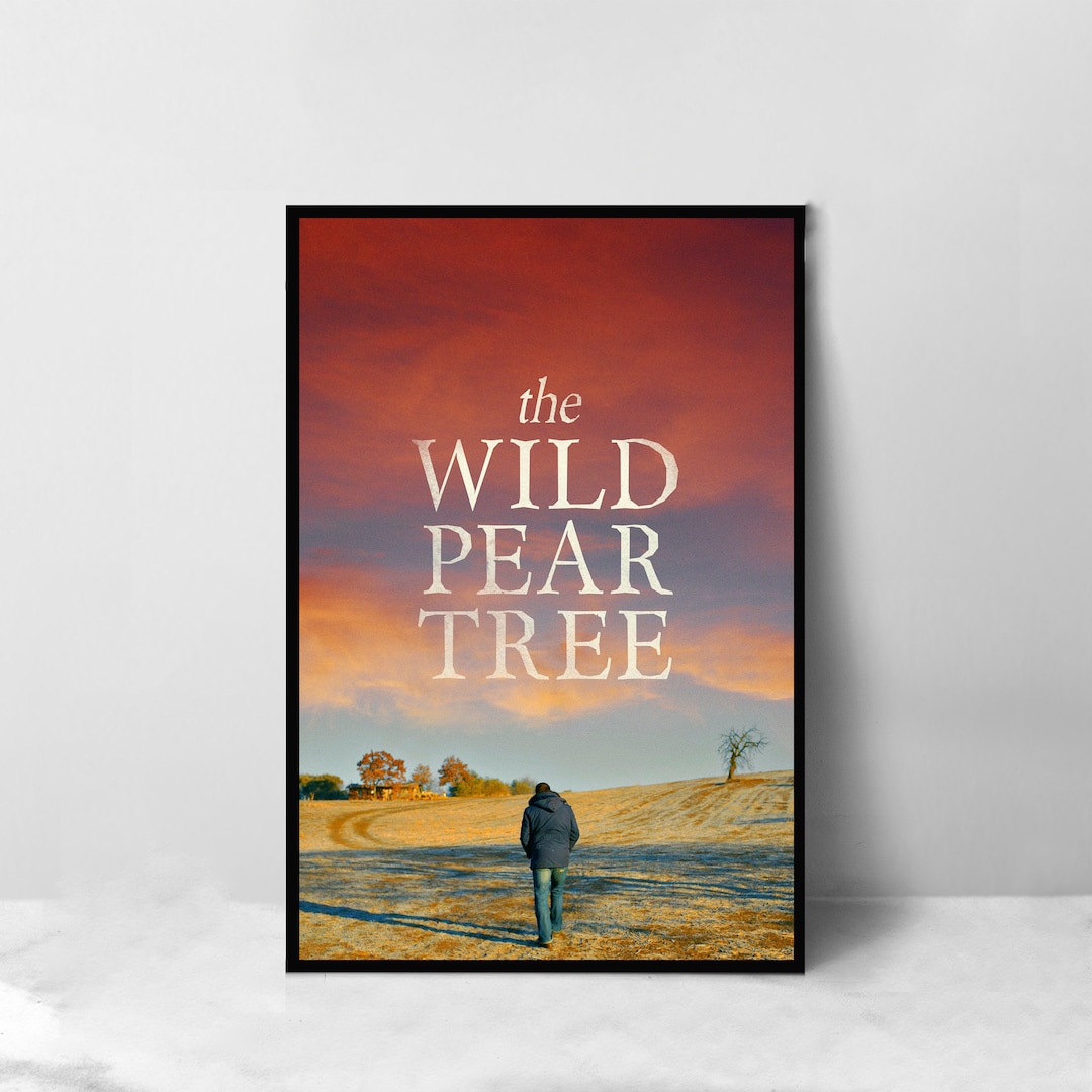 The Wild Pear Tree Movie Poster - High Quality Canvas Art Print - Room ...