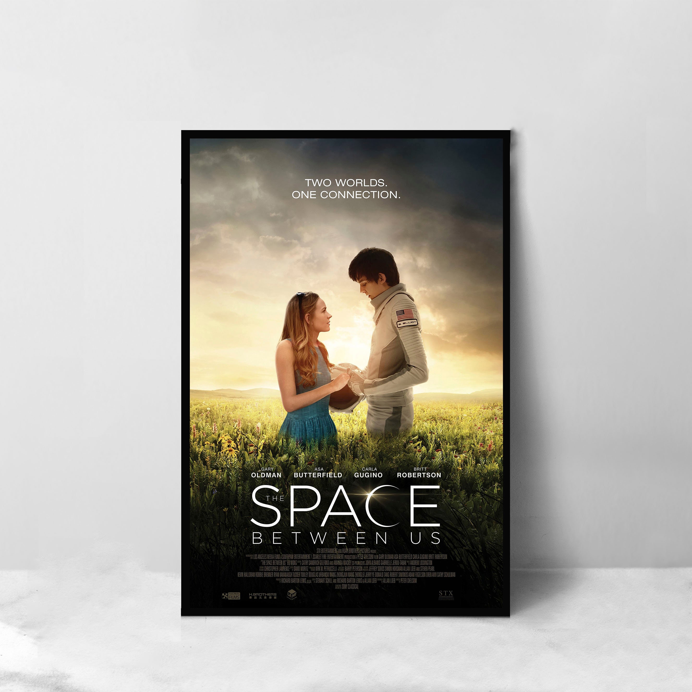 The Space Between Us Movie Poster High Quality Canvas Art - Etsy