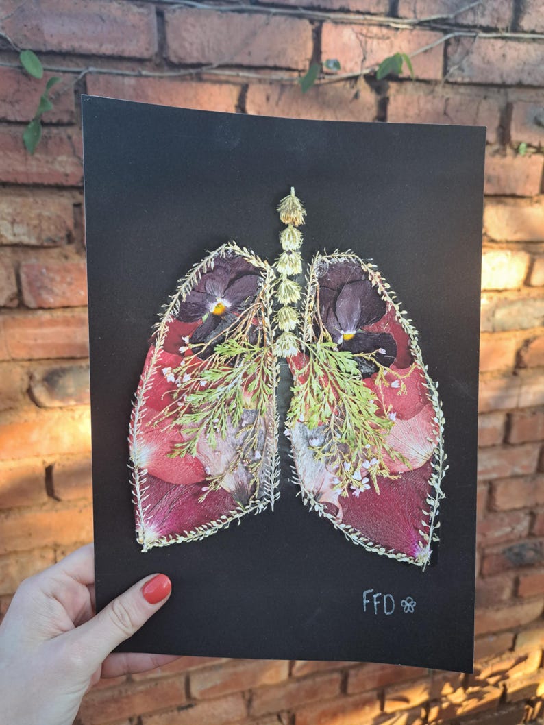 Pressed Flower Lungs Art Print Unique Biological Artwork Statement Art ...