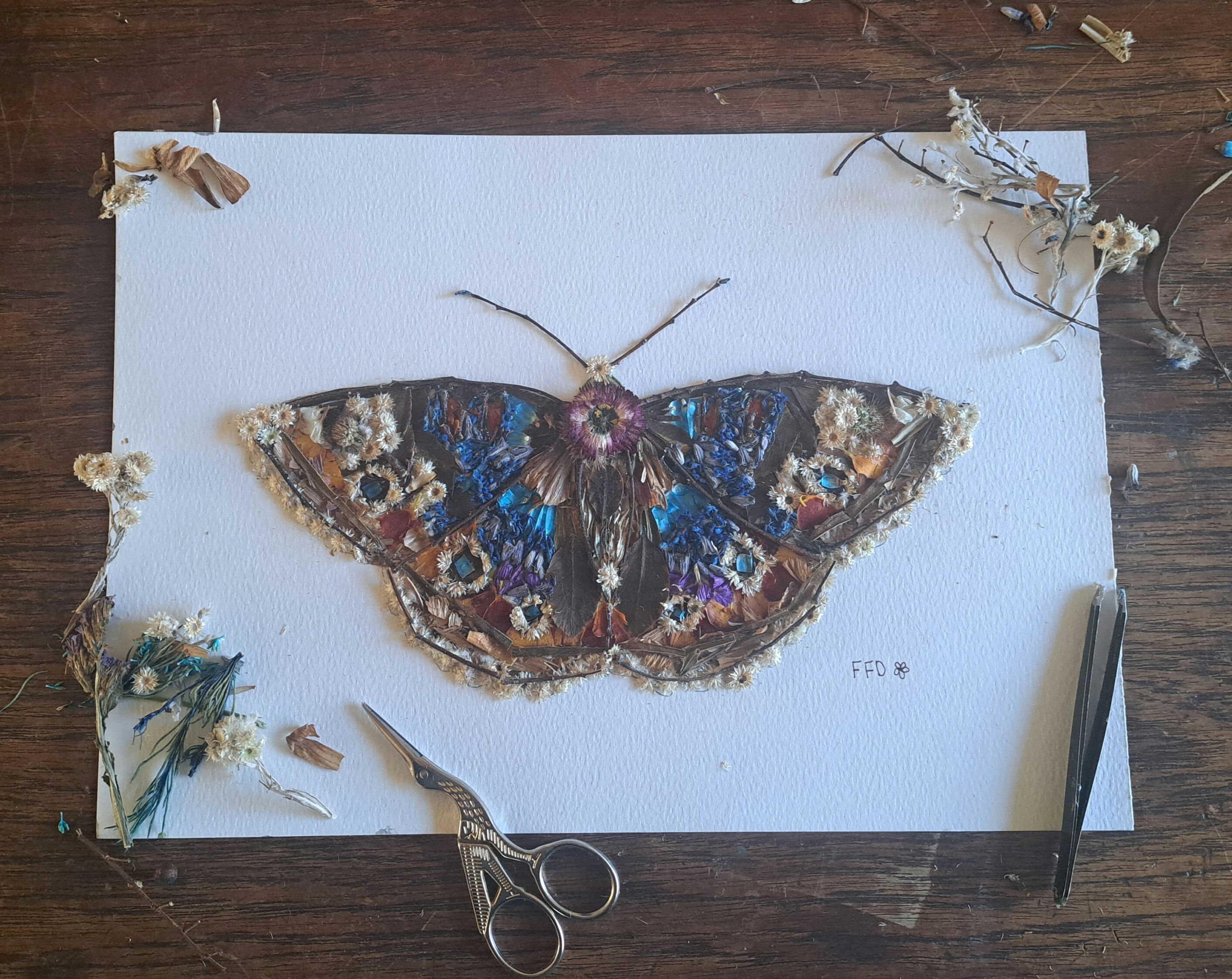 Pressed Flower Butterfly Art Print Natural Whimsical Floral Artwork ...