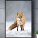 Fox in the Snow Premium Printed Poster, Animal Poster, Winter Print ...