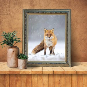 Fox in the Snow Premium Printed Poster, Animal Poster, Winter Print ...