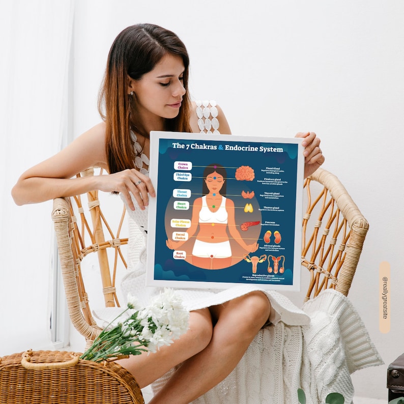 Premium Printed Poster "the 7 Chakras & the Endocrine System ...