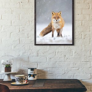 Fox in the Snow Premium Printed Poster, Animal Poster, Winter Print ...