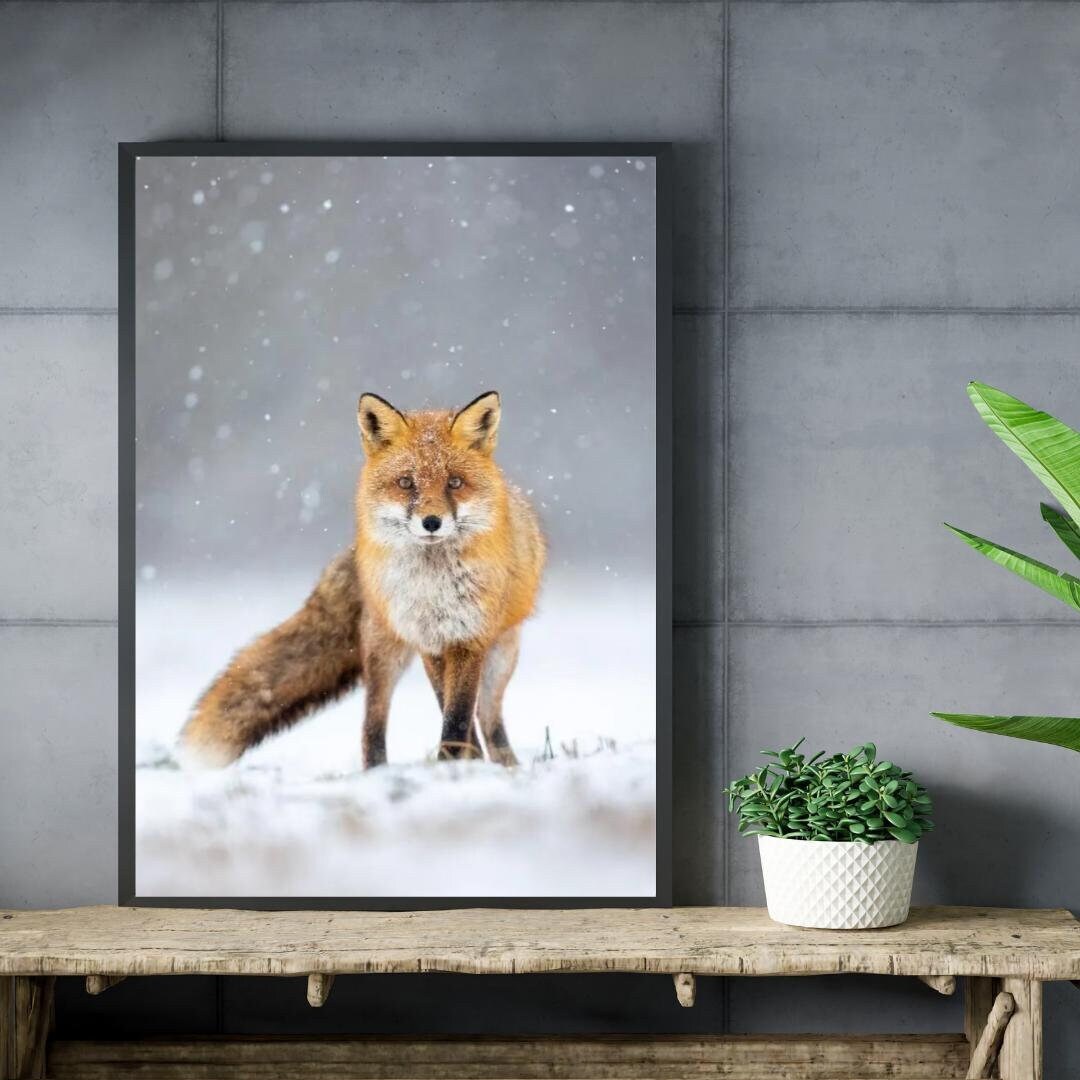 Fox in the Snow Premium Printed Poster, Animal Poster, Winter Print ...