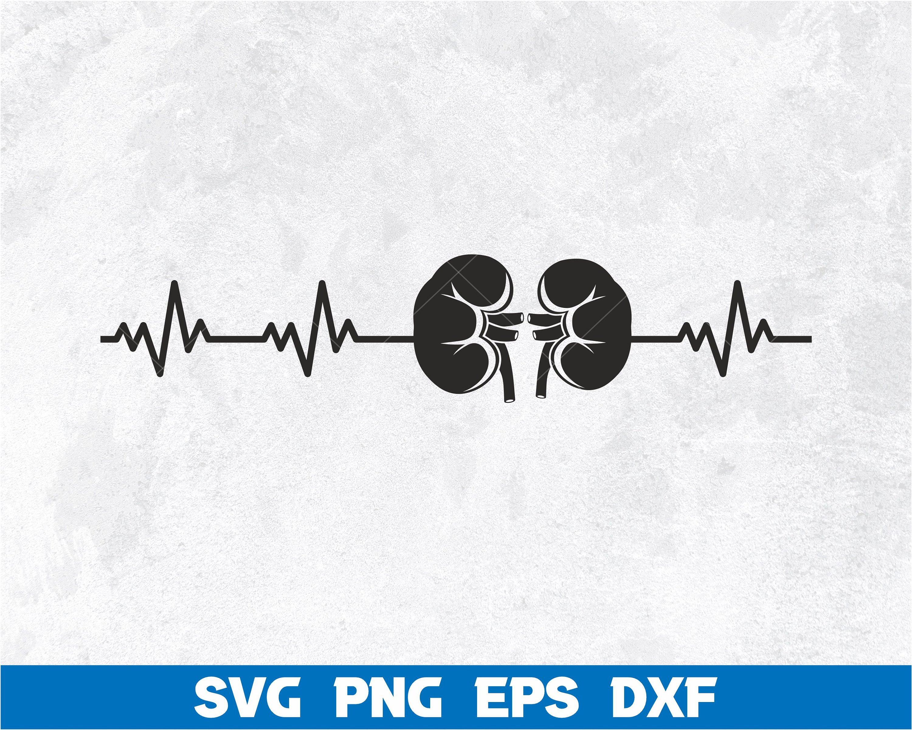 Kidney Heartbeat Svg, Kidney Svg, Dialysis Tech, Kidney Disease ...