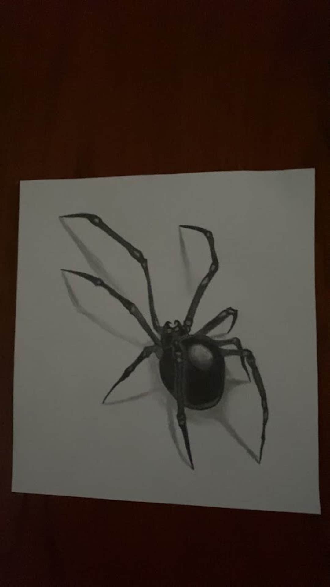 Drawing of Spider Illusion - Etsy