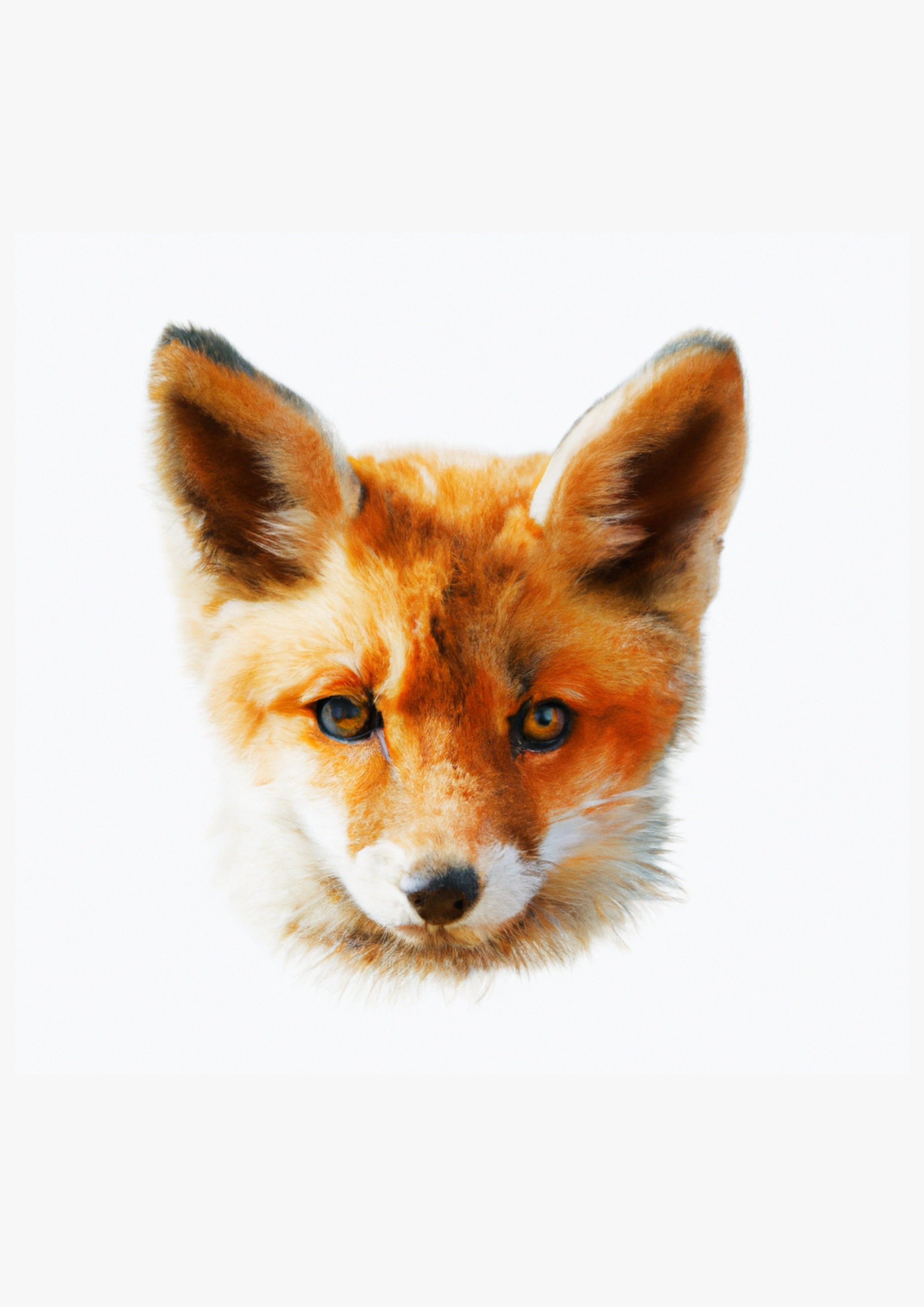 Watercolor Printable Cute Adorable Baby Fox Portrait - Etsy