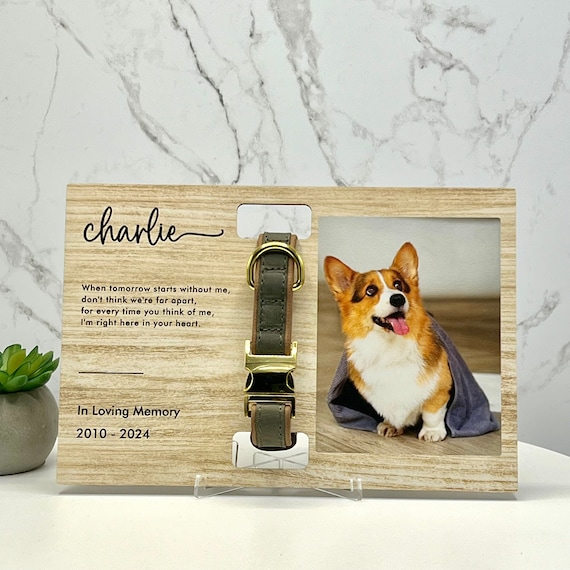 Pawfect House Personalized Personalzed Pet Memoral Collar Frame, Pet ...