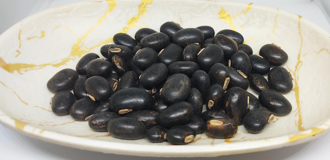 Black Kaunch Seeds - Beej Kaunch Kala - Mucuna Pruriens - Cowhage ...