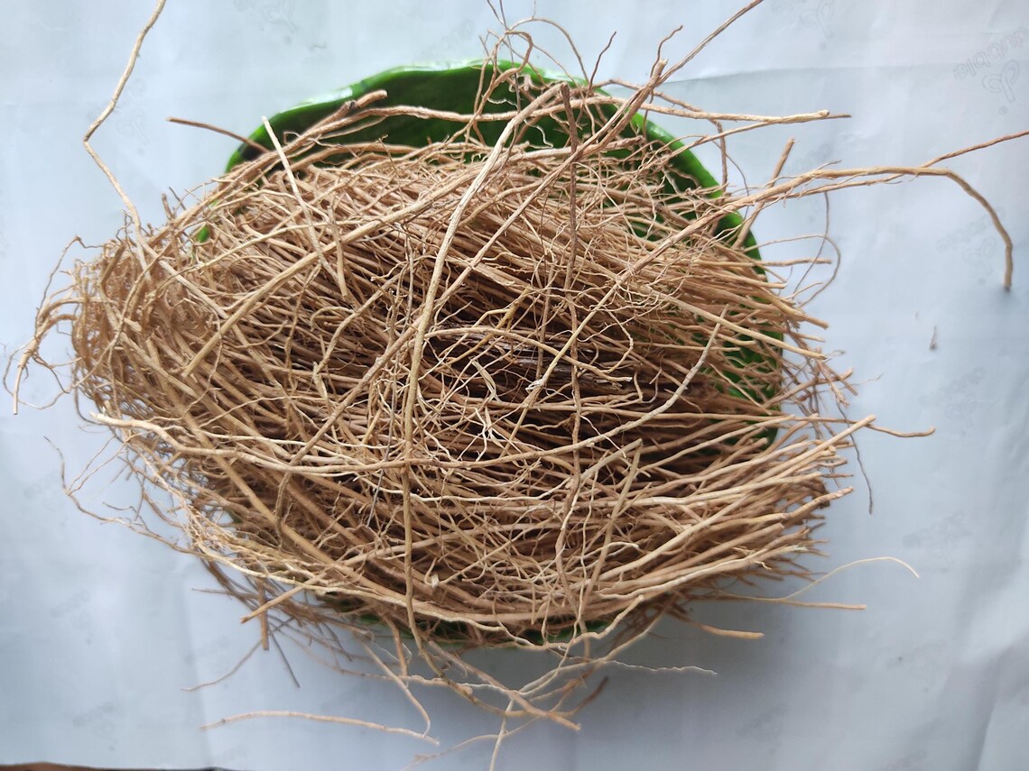 Indian Vetiver Root: Natural Organic Khus Khus Herb - Etsy