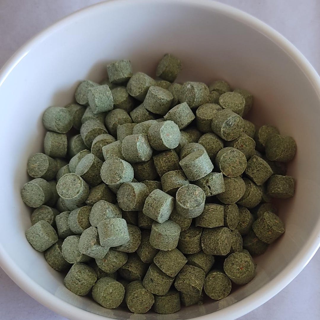 Mint Candy - Pudina Vati - Ayurvedic Pachak - Indian Candy - Etsy