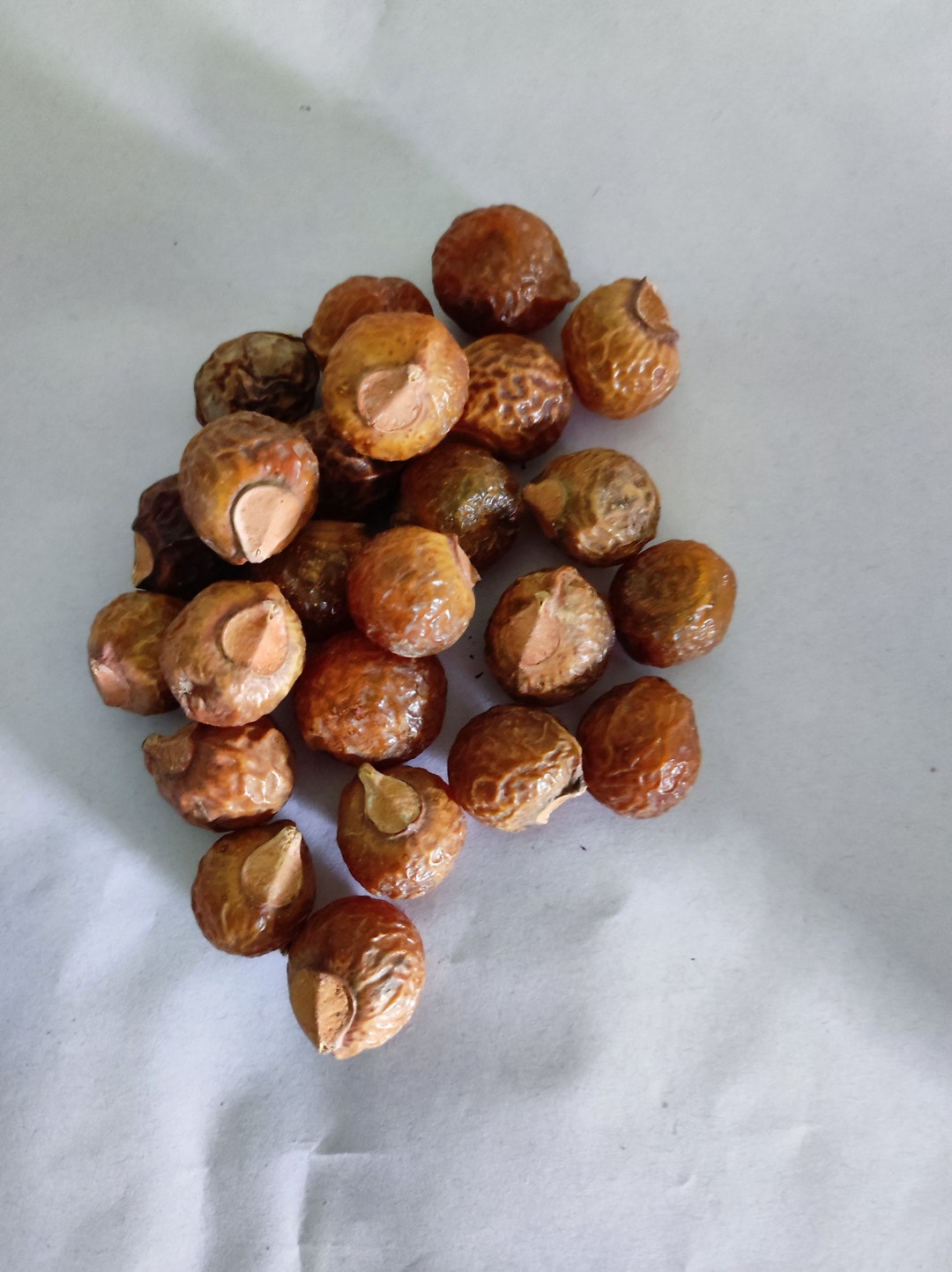 Soapnut - Ritha - Aritha - Sapindus Mukorossi - Reetha Herbs - Etsy