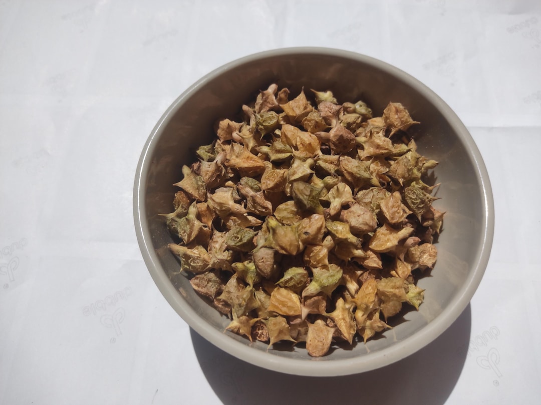 Gokhru Seeds - Gokhru Powder - Pedalium Murex - Tribulus Terrestris ...