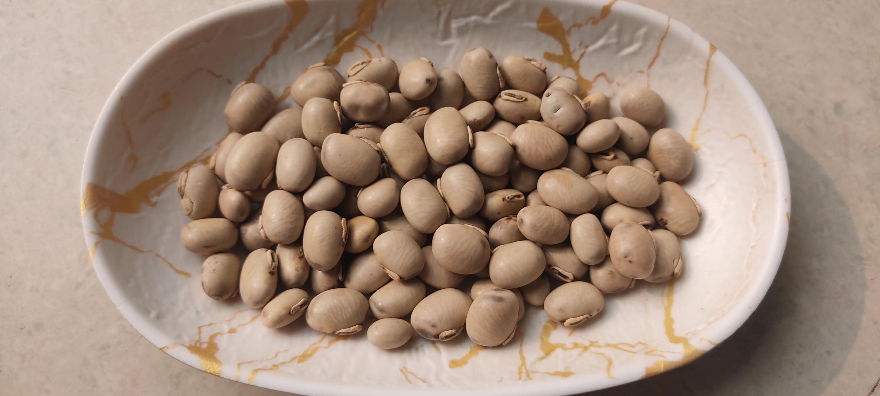 White Kaunch Seeds: Kunjika Jadibooti, Velvet Bean (mucuna Pruriens) - Etsy