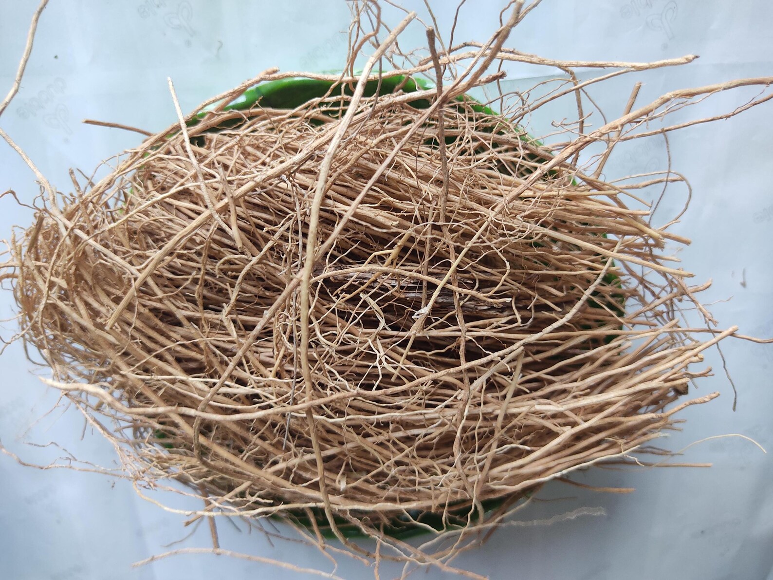 Vetiver Root - Indian Natural Organic Herb - Khus Khus - Dry Root ...