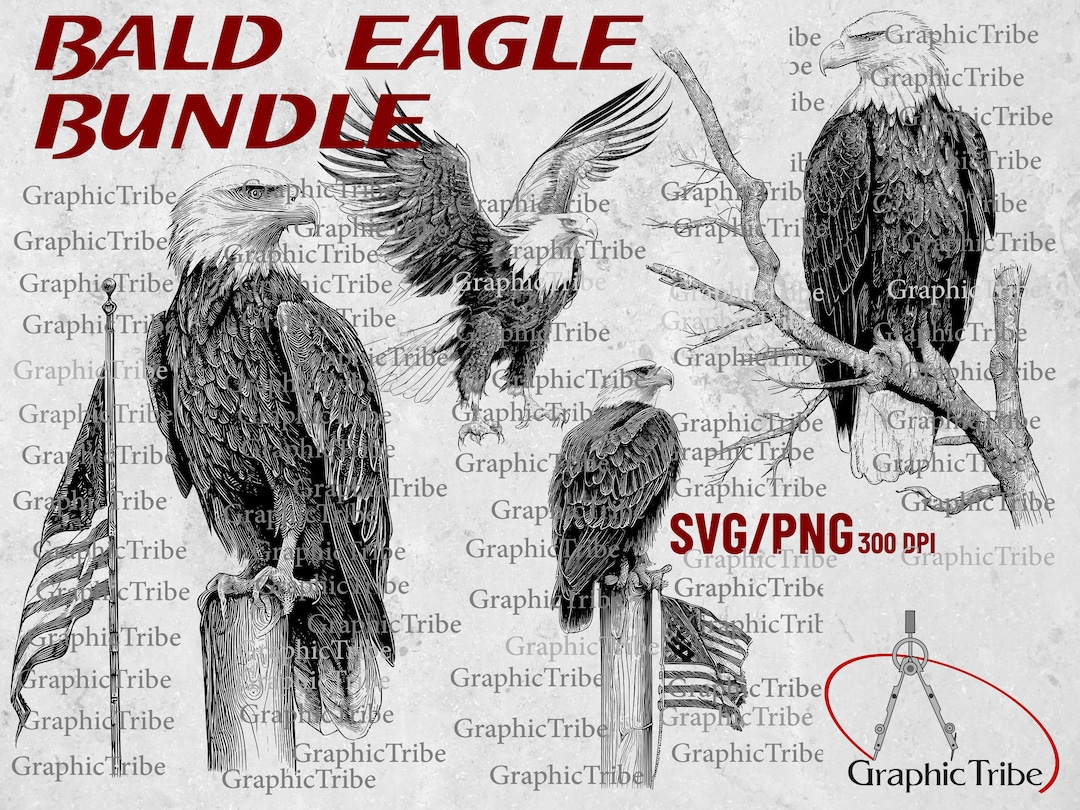 American Bald Eagle Bundle SVG/PNG Instant Download - Etsy