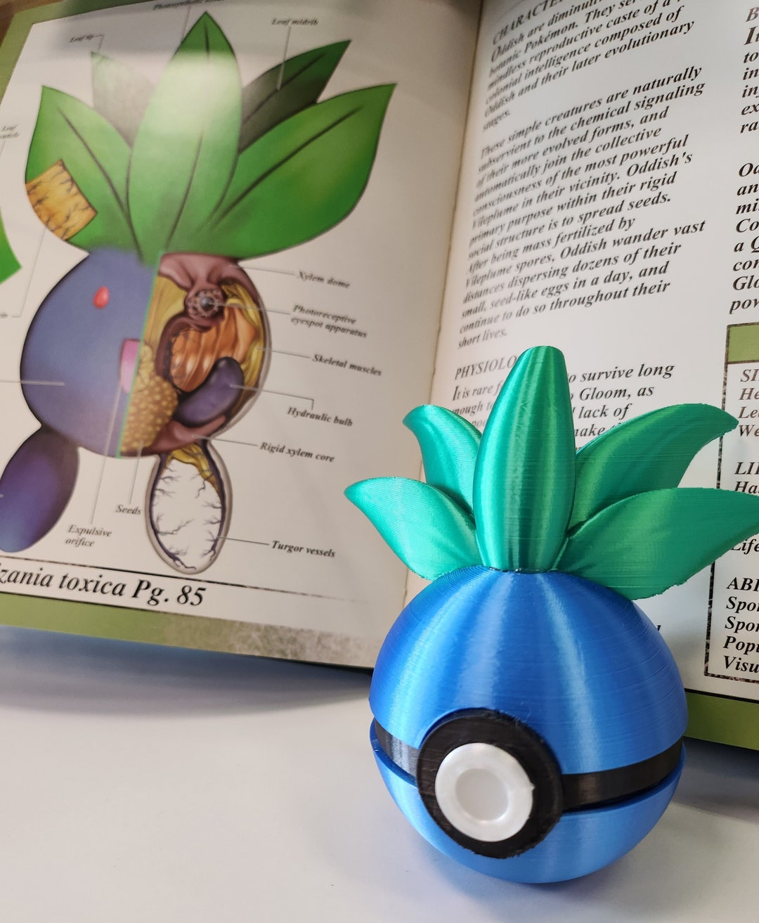 3D Printed Oddish Pokeball: Flattened Base - Etsy