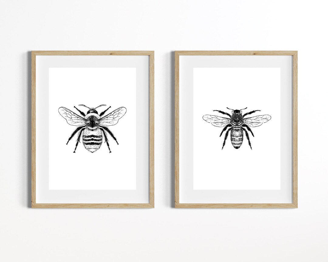 Honey Bee and Bumble Bee Poster Printable Poster Set of 2 - Etsy