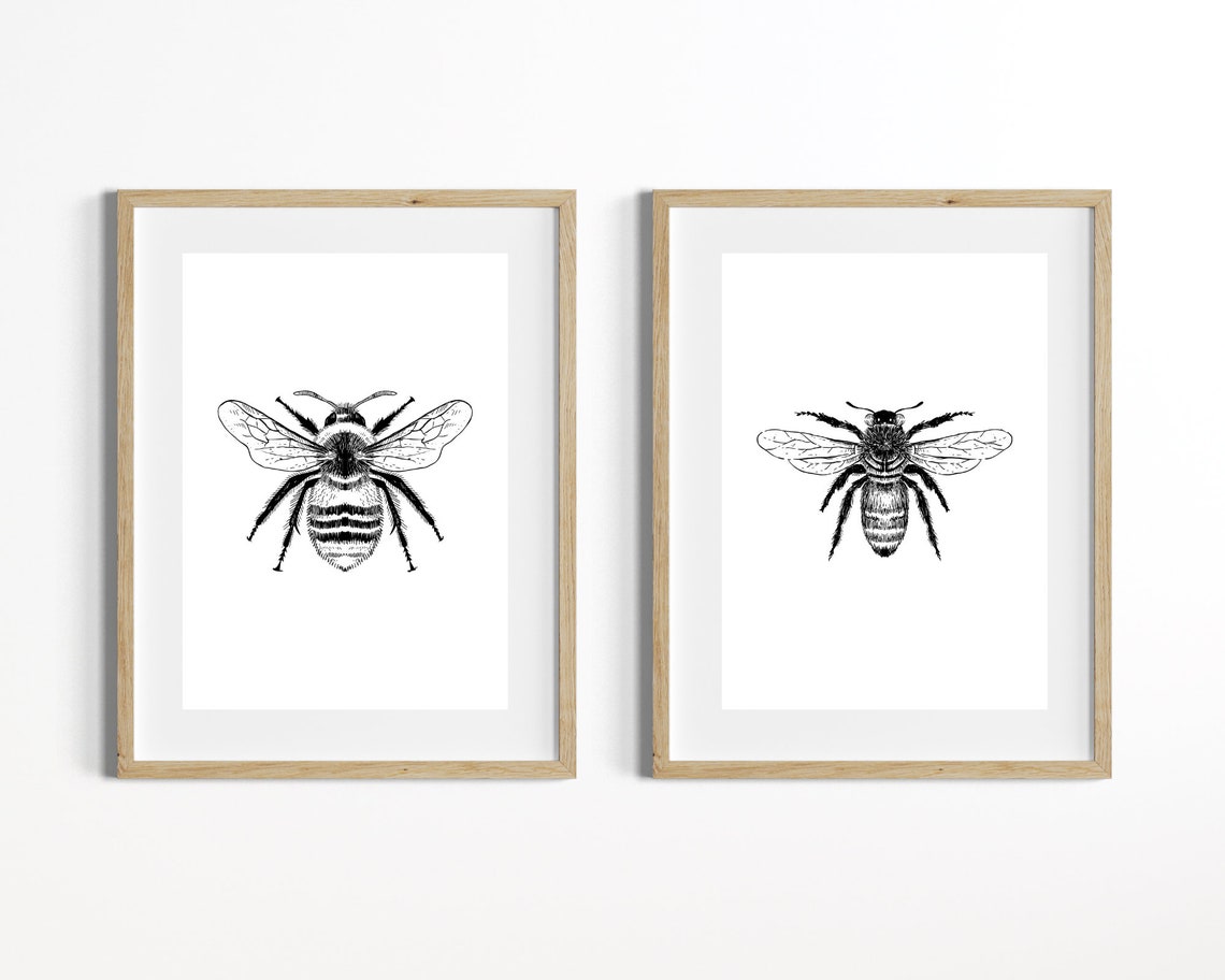 Honey Bee and Bumble Bee Poster - Printable Poster Set of 2 - Vintage ...