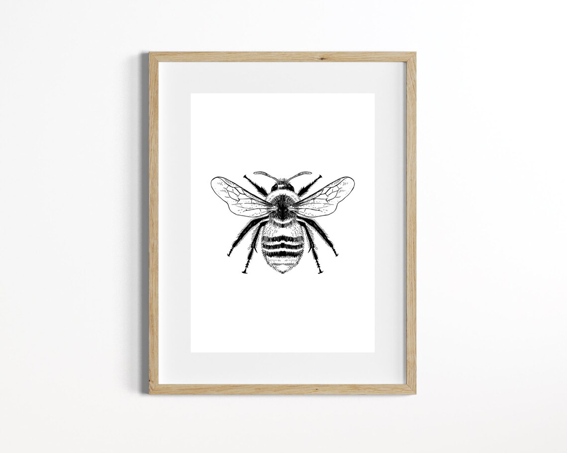 Honey Bee and Bumble Bee Poster - Printable Poster Set of 2 - Vintage ...