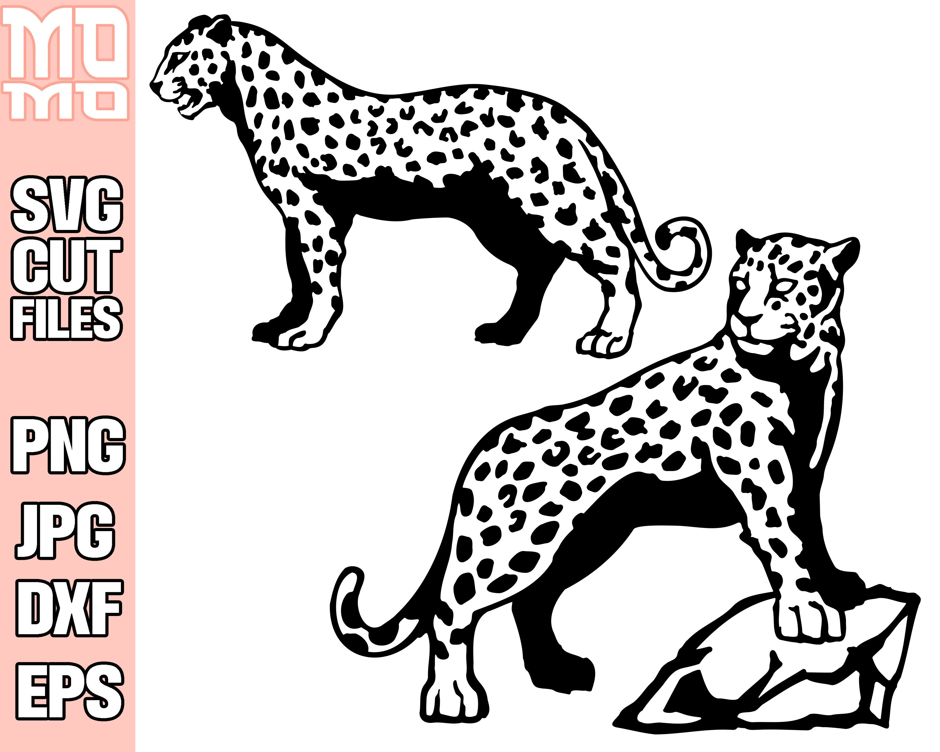 Leopard Svg Png Vector Cut File Clip Art Leopard - Etsy