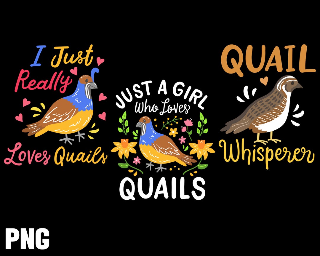 Quail Png Bundle Sublimation Shirt Design Bundle - Etsy