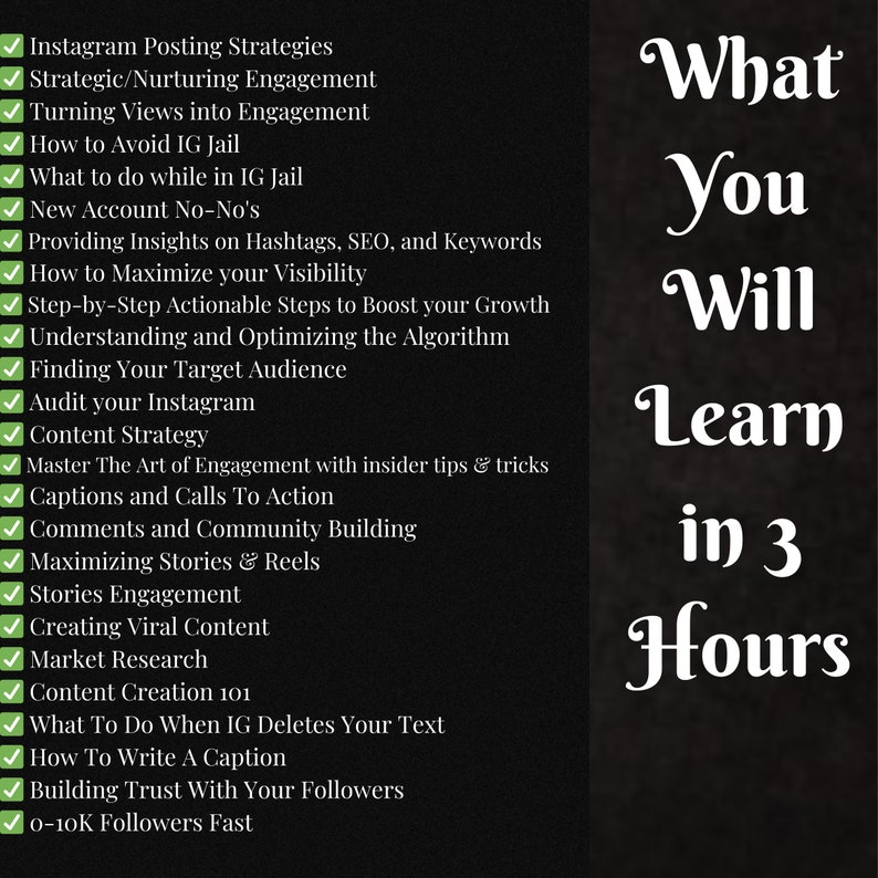 Instagram Growth Blueprint Course | MRR | Mini Course With Audio ...