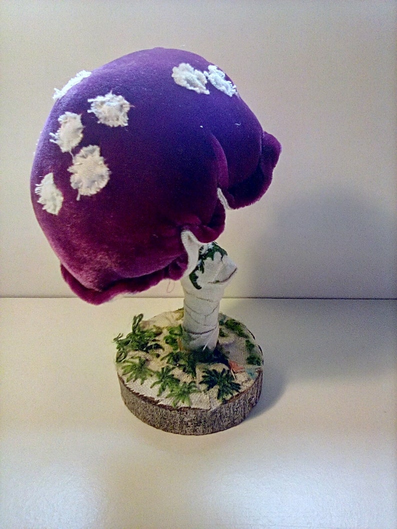 Pink Velvet Toadstool Mushroom Fungi - Etsy