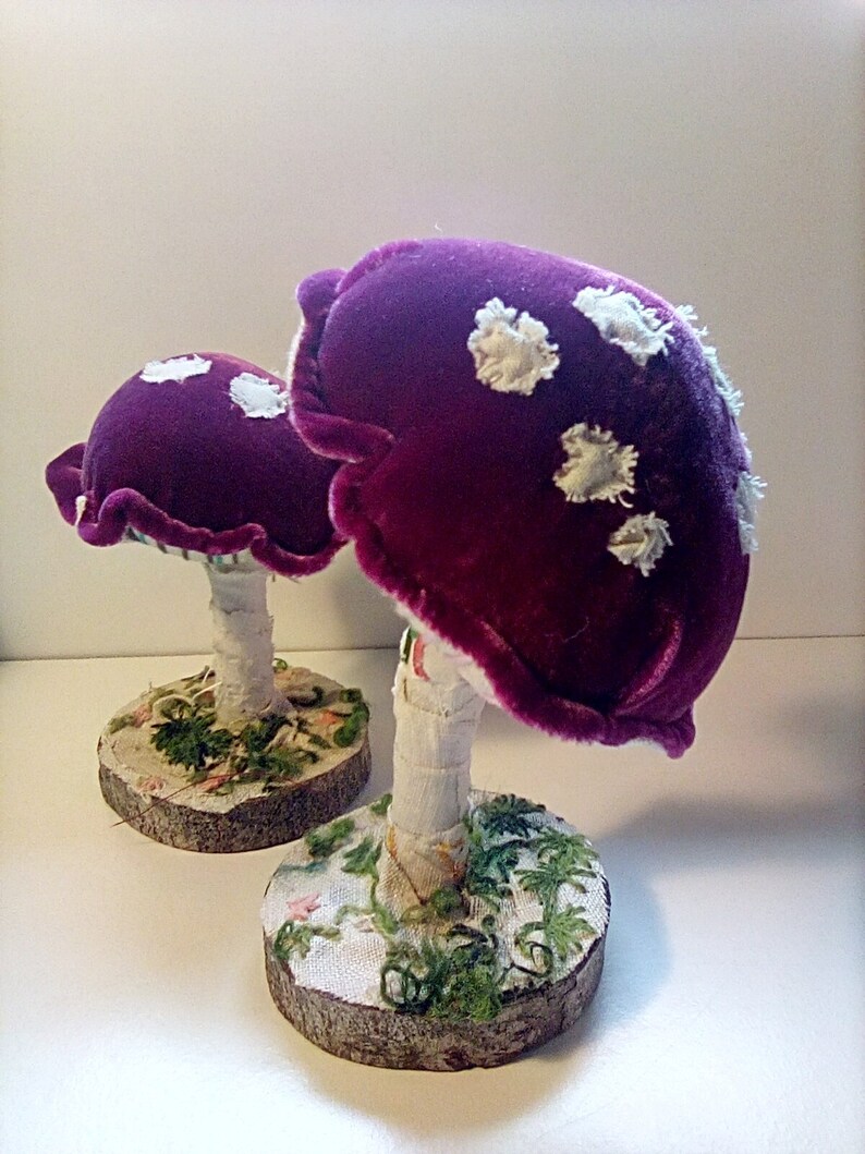 Pink Velvet Toadstool Mushroom Fungi - Etsy