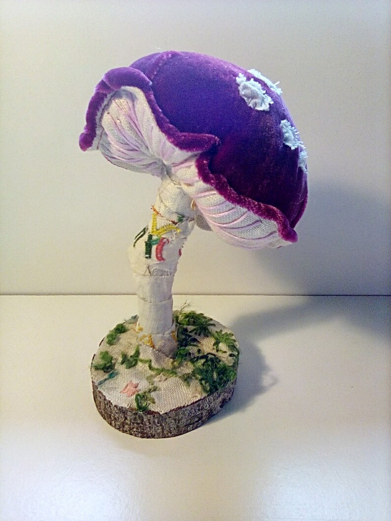 Pink Velvet Toadstool Mushroom Fungi - Etsy