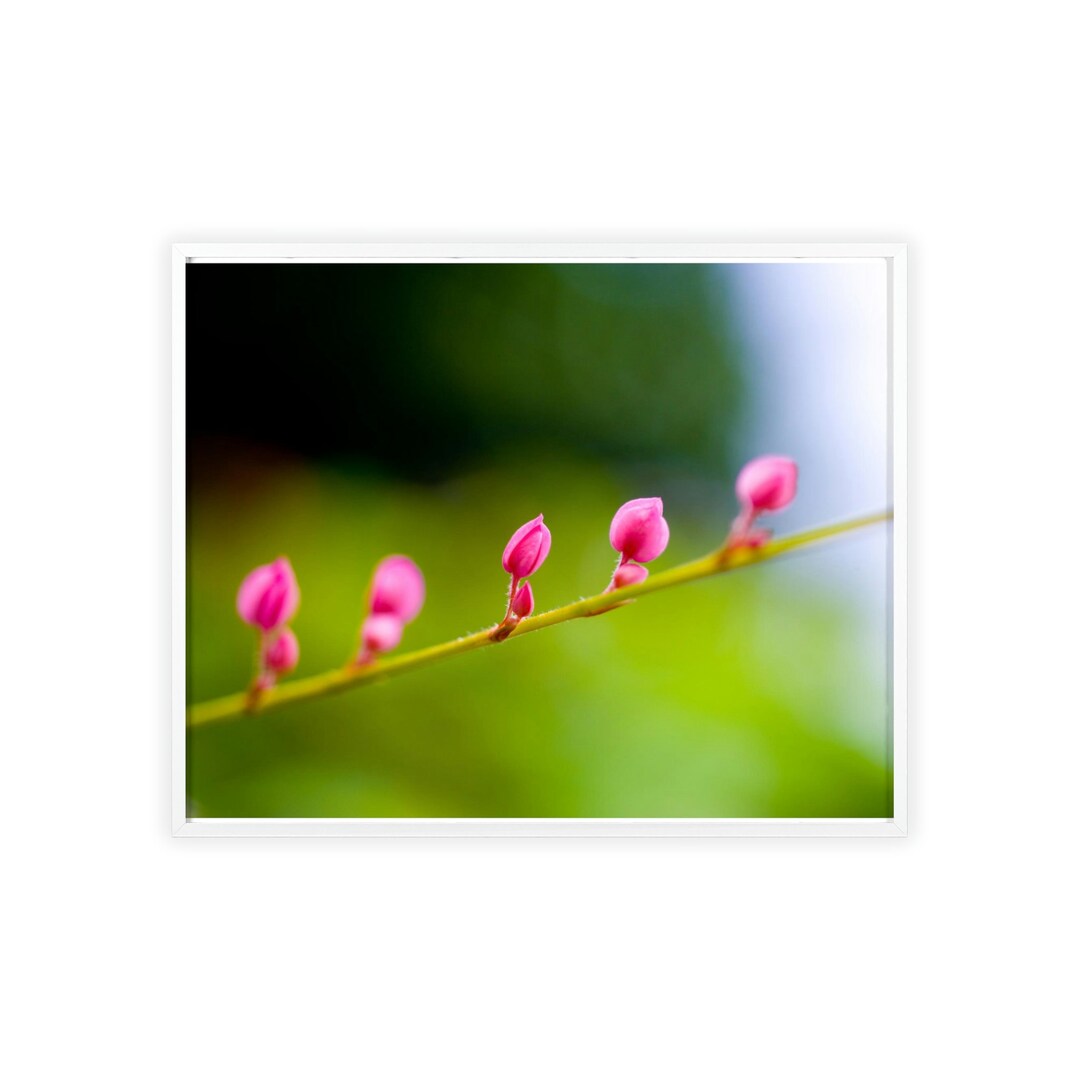 Flowers in Bloom - Posters With Wooden Frame - Etsy