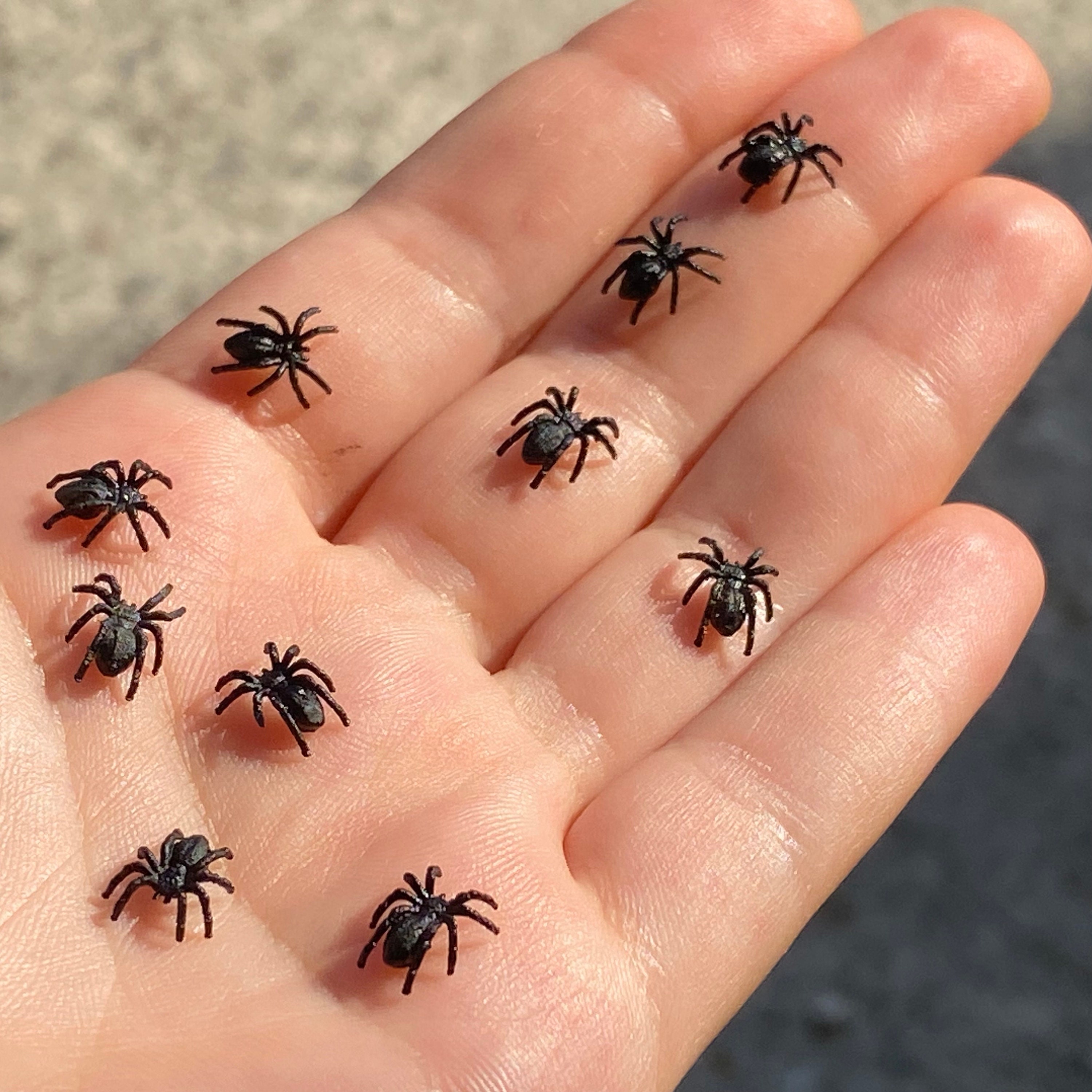 Miniature Spiders, Dollhouse and Diorama Decor for Halloween, 10 Pcs ...