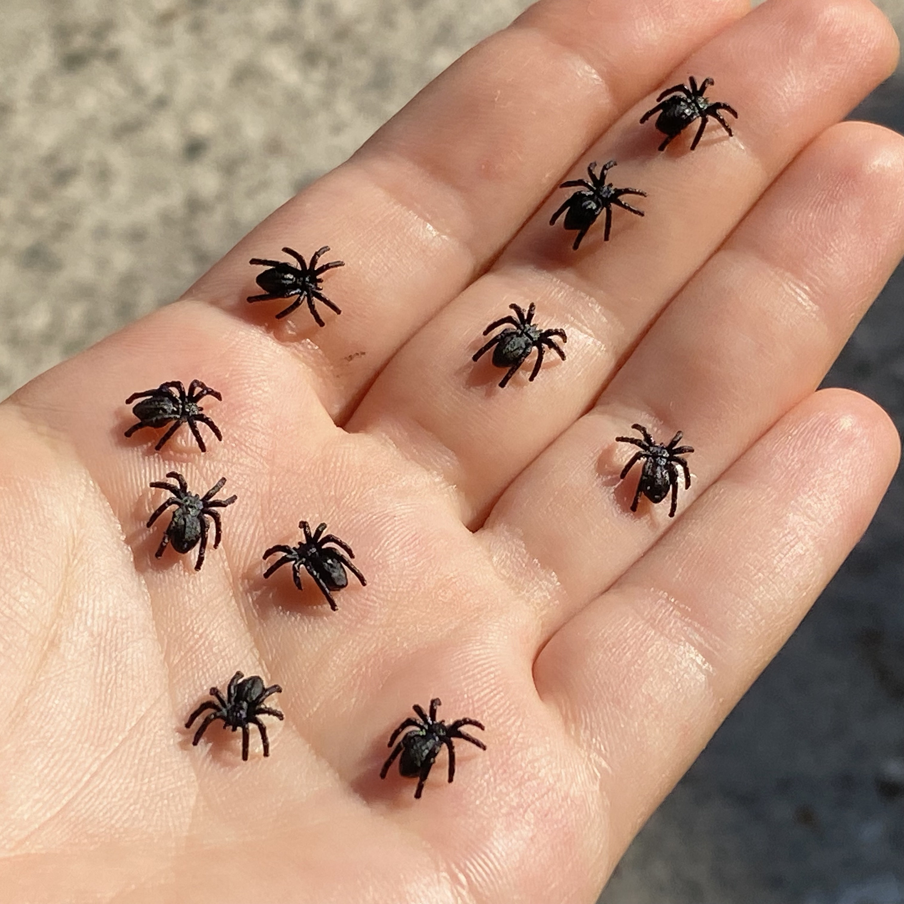 Miniature Spiders, Dollhouse and Diorama Decor for Halloween, 10 Pcs ...