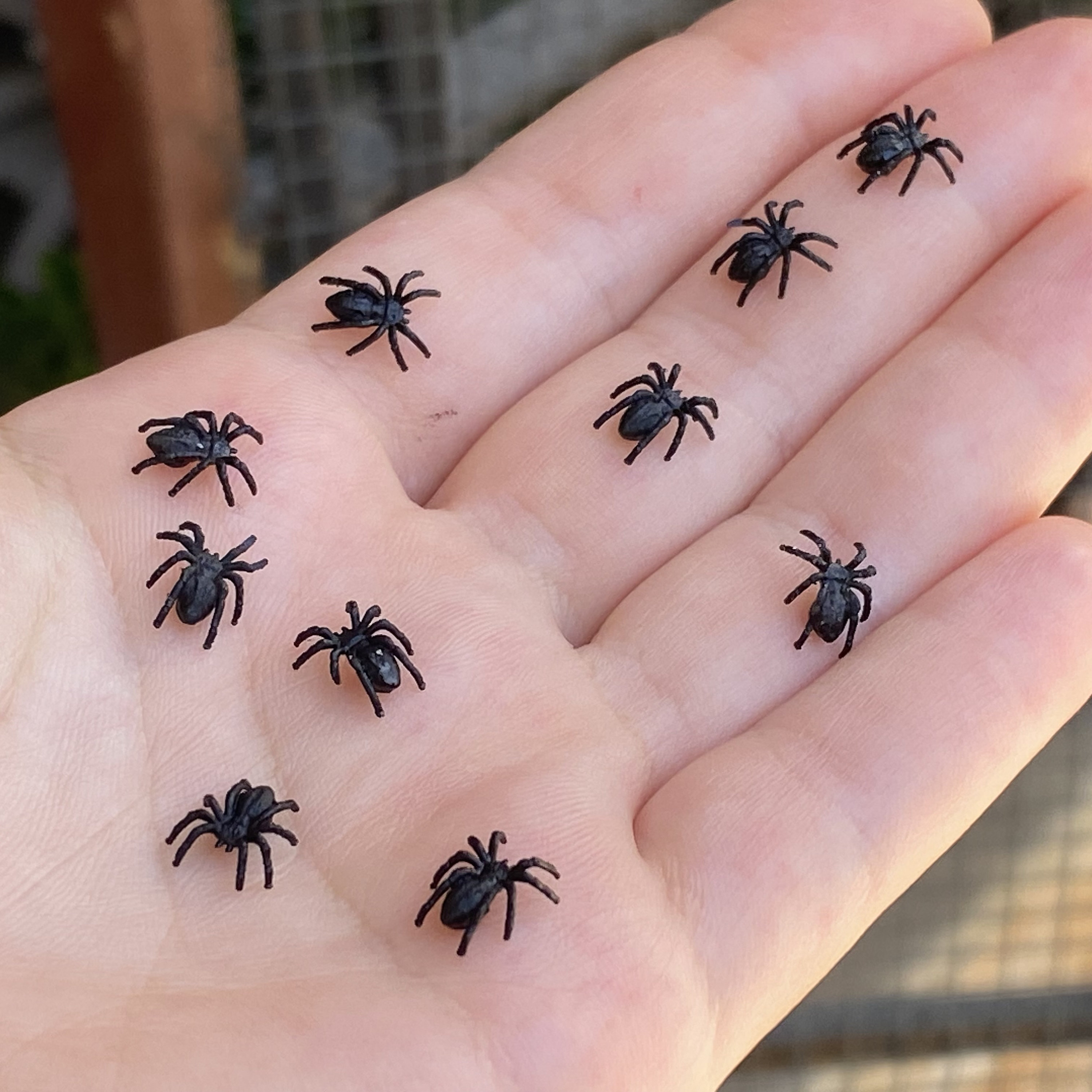 Miniature Spiders, Dollhouse and Diorama Decor for Halloween, 10 Pcs ...