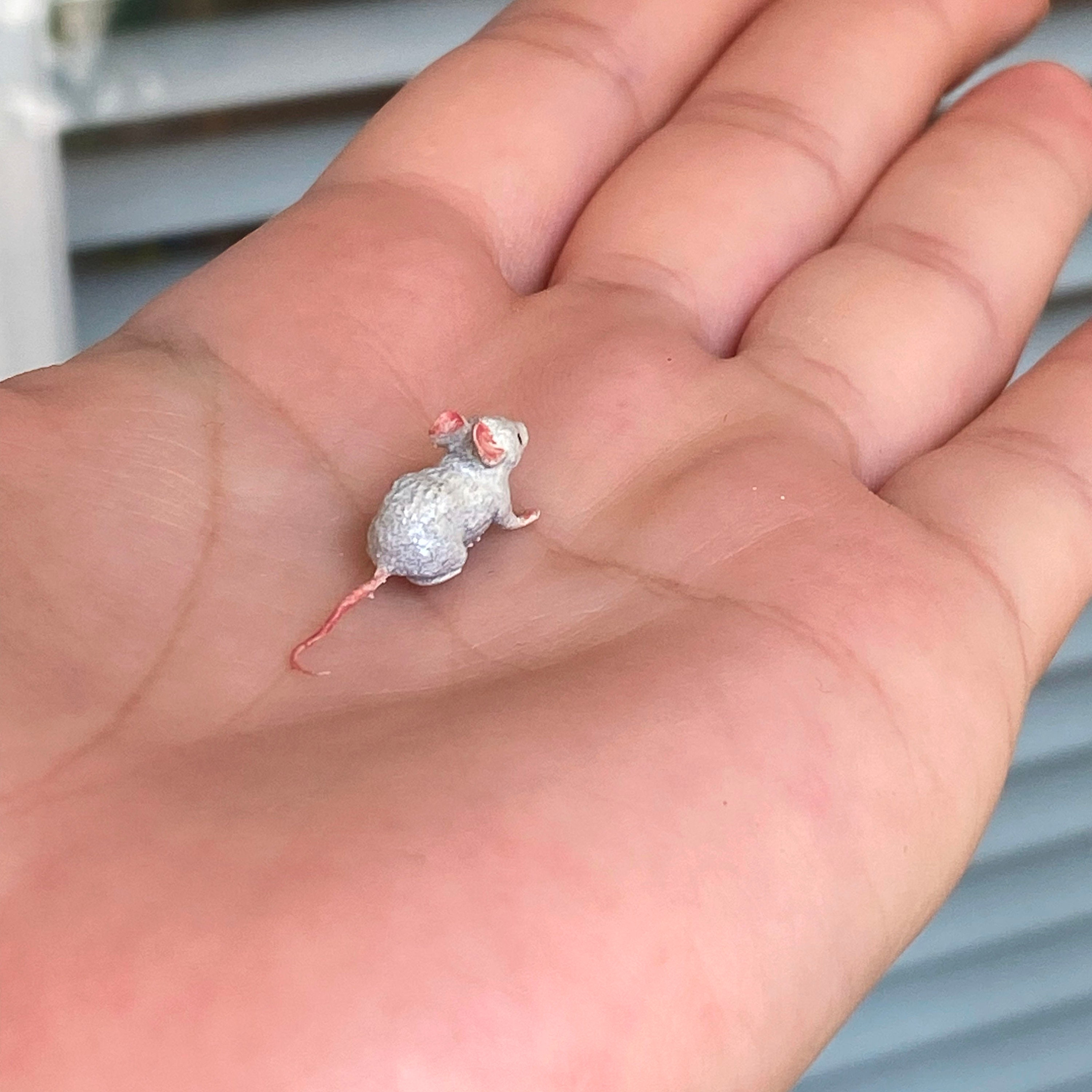 Miniature White Mouse, 1:12 Scale and 3D Printed - Etsy