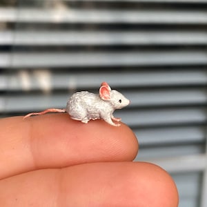 Miniature White Mouse, 1:12 Scale and 3D Printed - Etsy