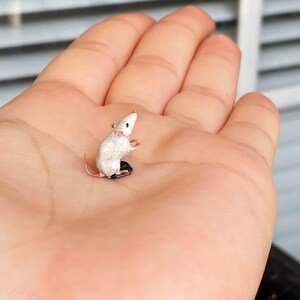 Miniature White Mouse, 1:12 Scale and 3D Printed (set of 2) - Etsy