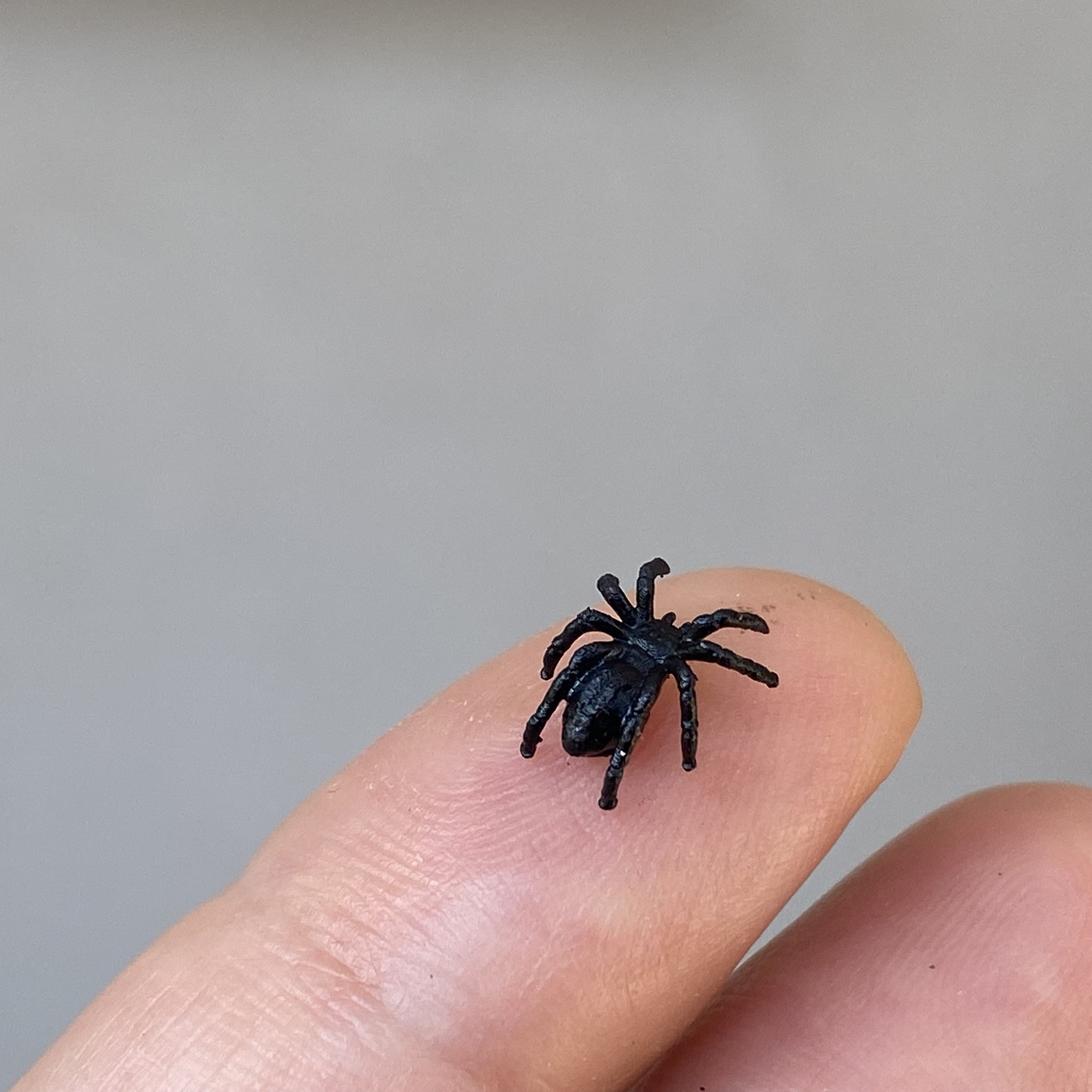 Miniature Spiders, Dollhouse and Diorama Decor for Halloween, 10 Pcs ...