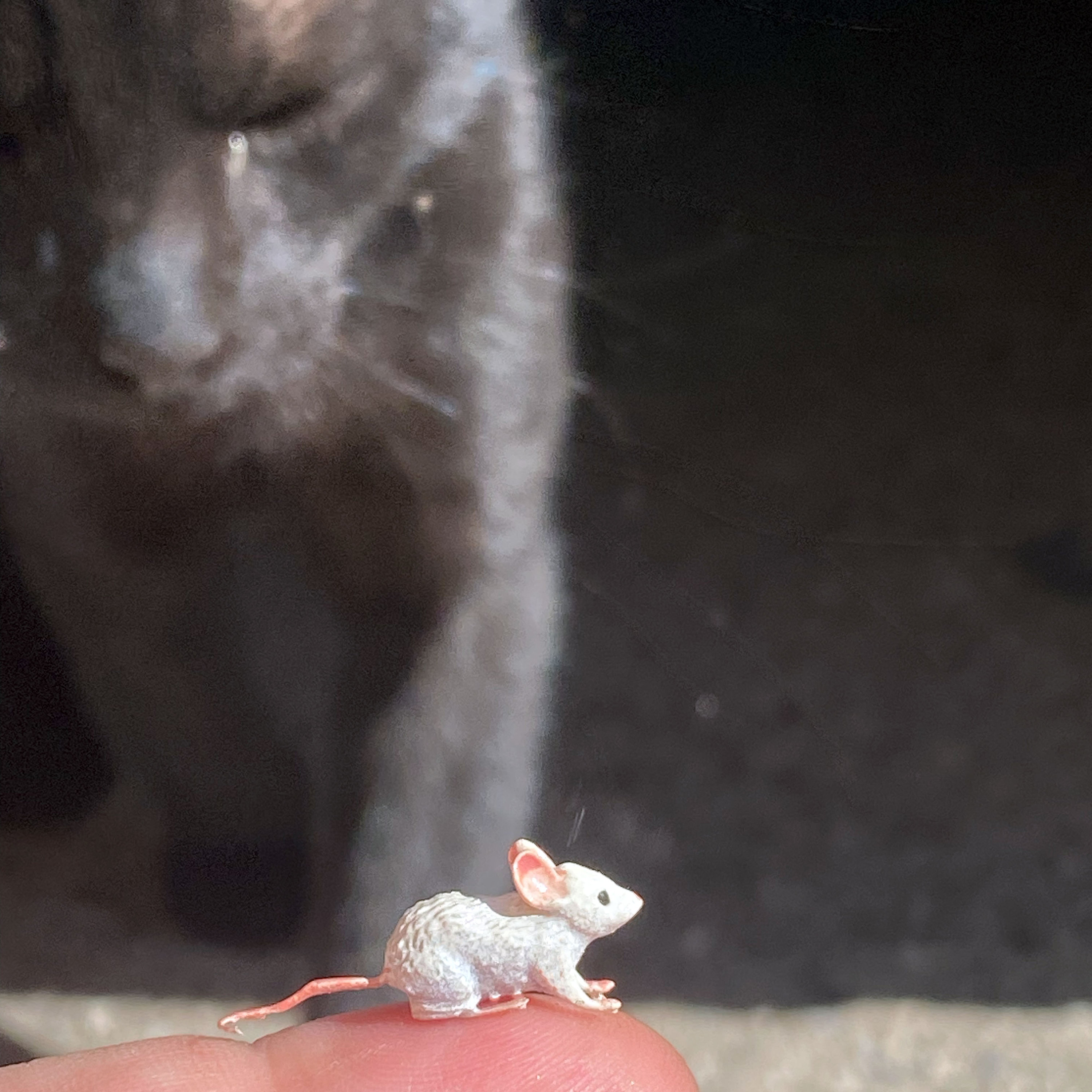 Miniature White Mouse, 1:12 Scale and 3D Printed - Etsy