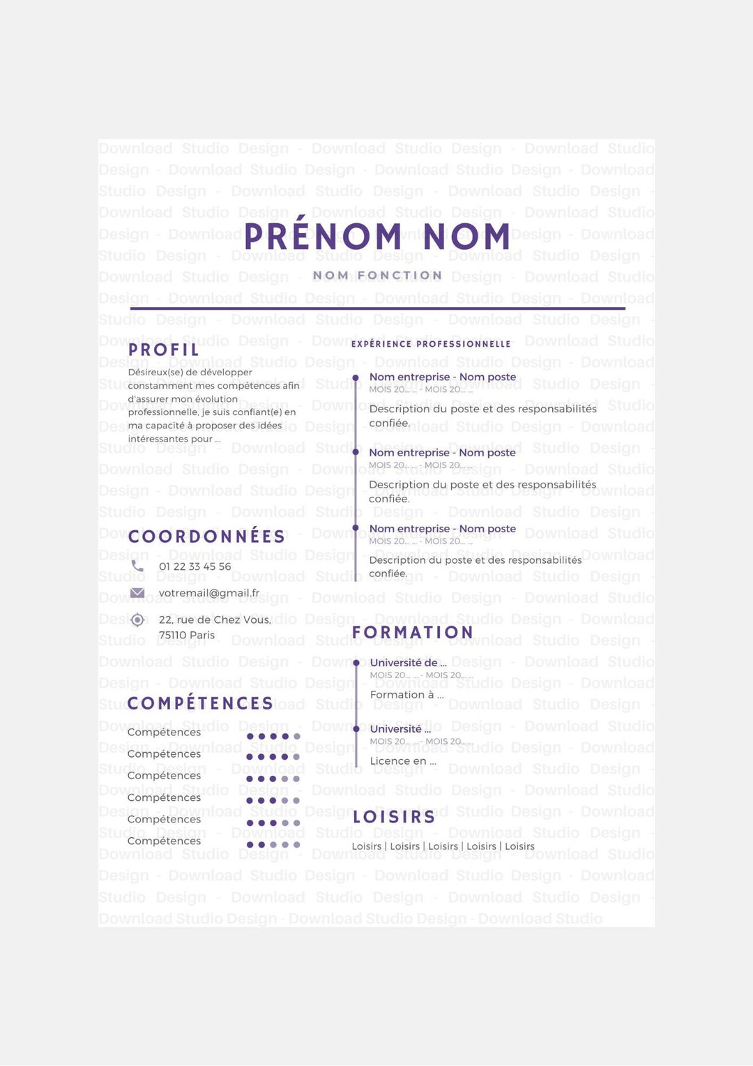 Modèle De CV Professionnel Format PDF éditable - Etsy