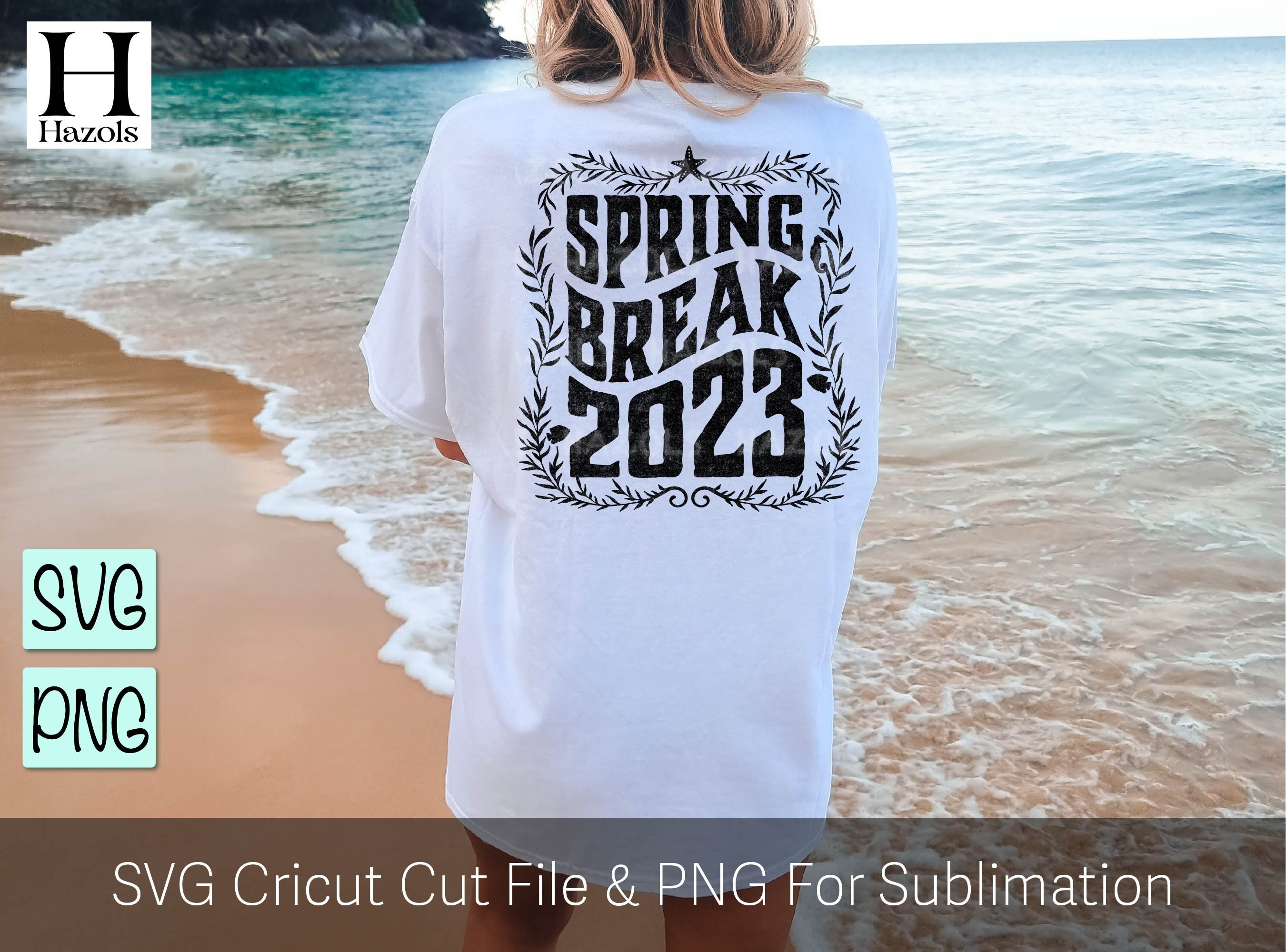Spring Break 2023 SVG, Summer Beach Vibes PNG, Distressed Spring Break ...
