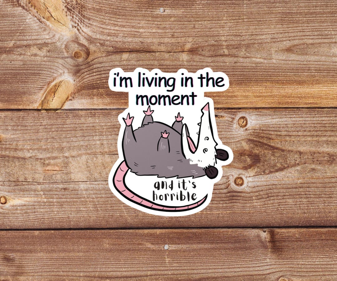 Angry Screaming Opossum Meme Sticker: Water Resistant Vinyl - Etsy