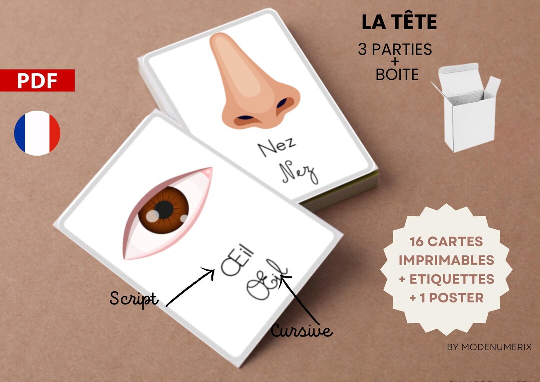 THE HEAD French Learning Cards 16 Montessori Cards Printable Box 3-part ...